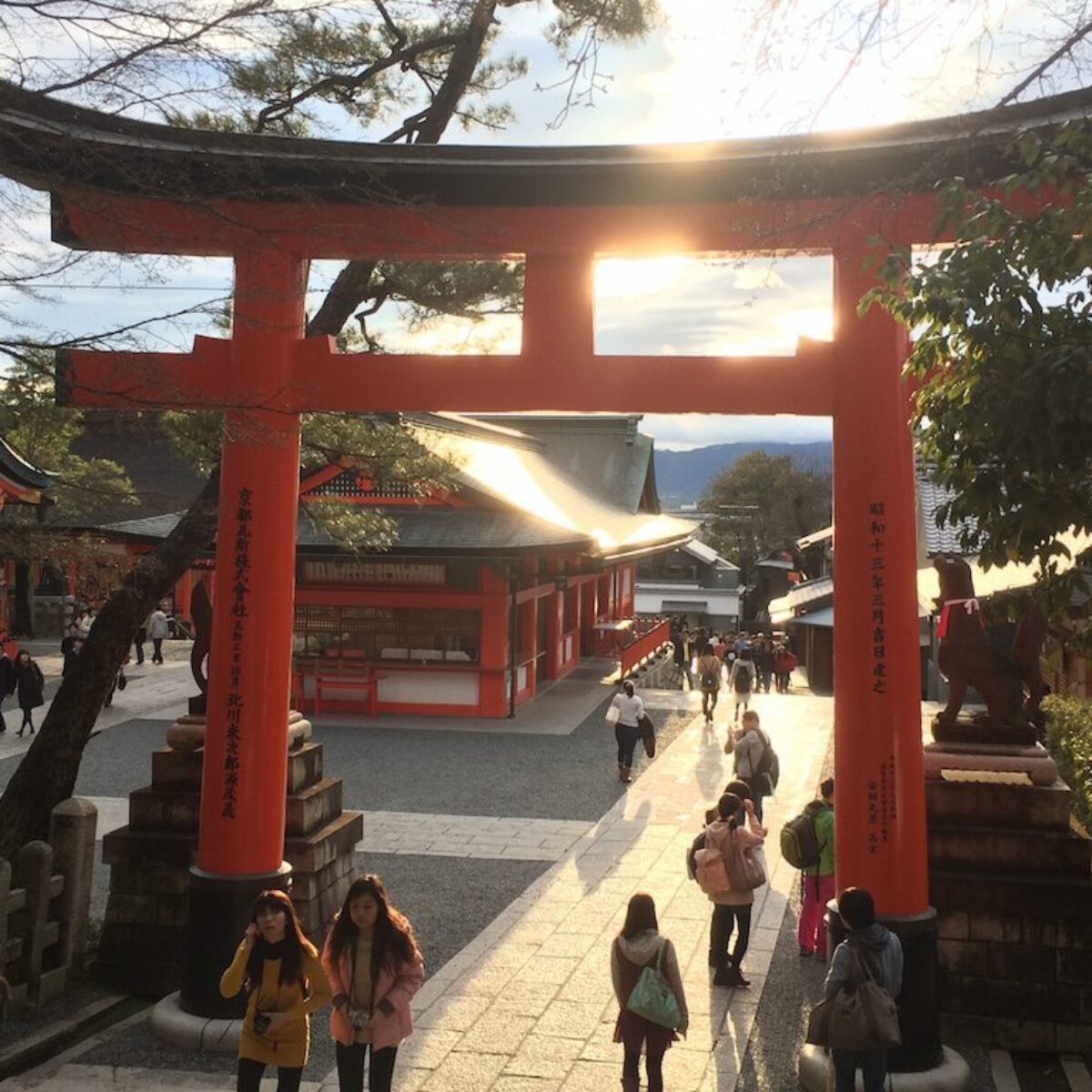 Vakantie Japan: de beste tips en handige blogs voor je reis