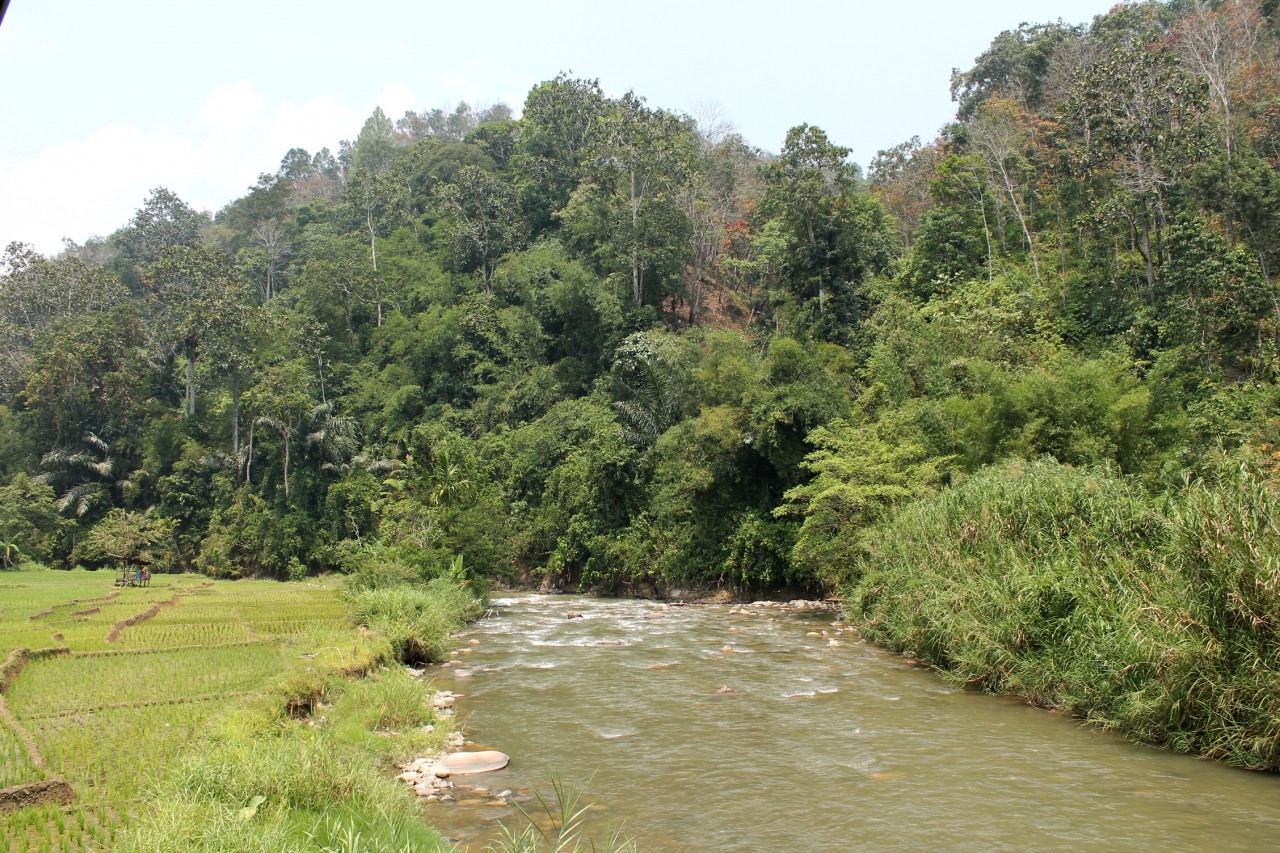 Reisroute Sumatra: backpacken van noord naar west + tips