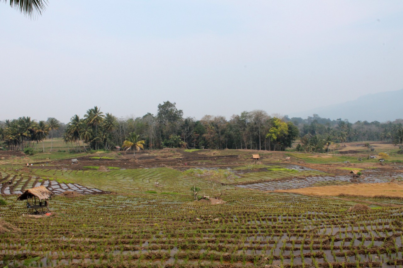 Reisroute Sumatra: backpacken van noord naar west + tips