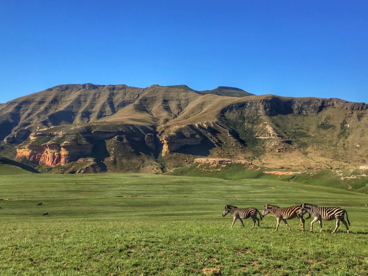 10 Mooie nationale parken en wildparken in Zuid-Afrika