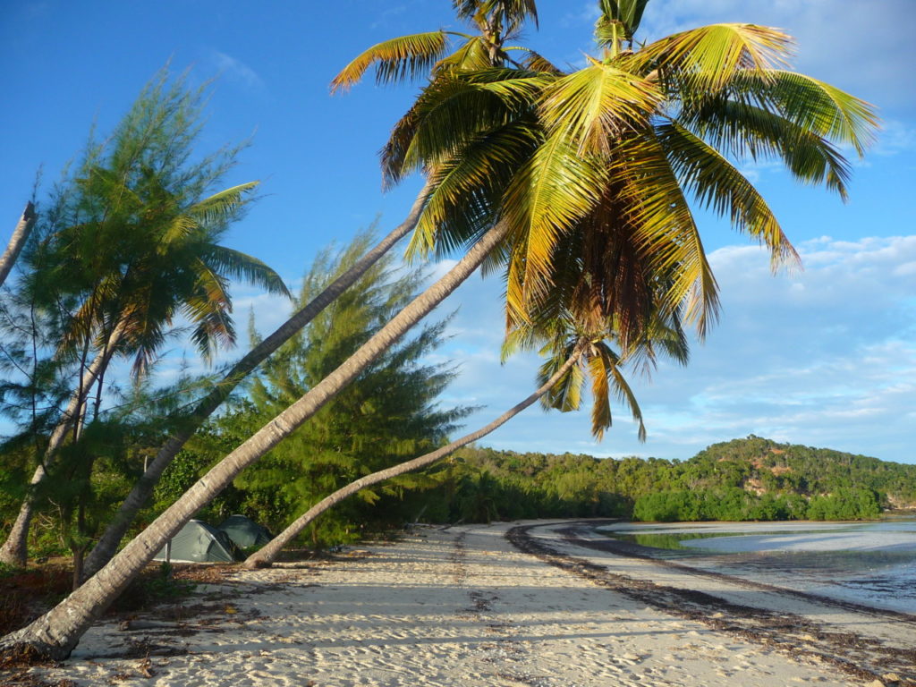 Madagascar vakantie | Rondreis Madagascar in drie weken