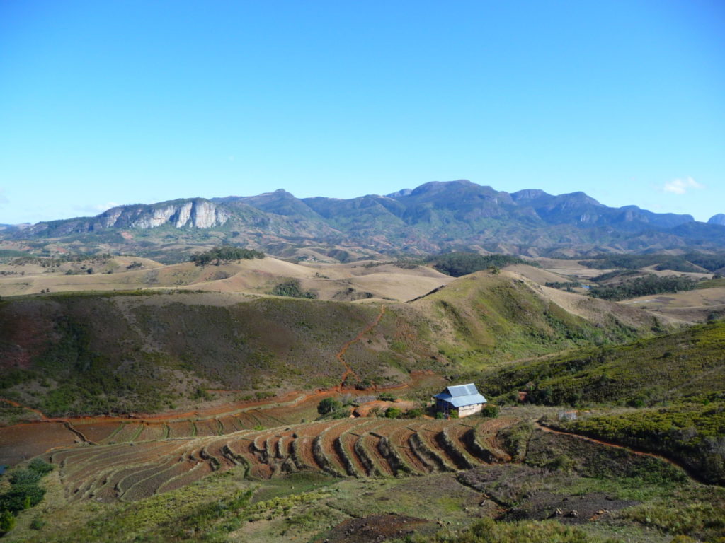 Madagascar vakantie | Rondreis Madagascar in drie weken