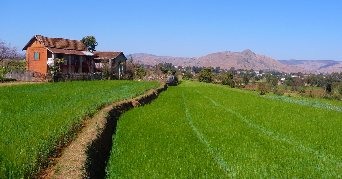 Madagascar vakantie | Rondreis Madagascar in drie weken