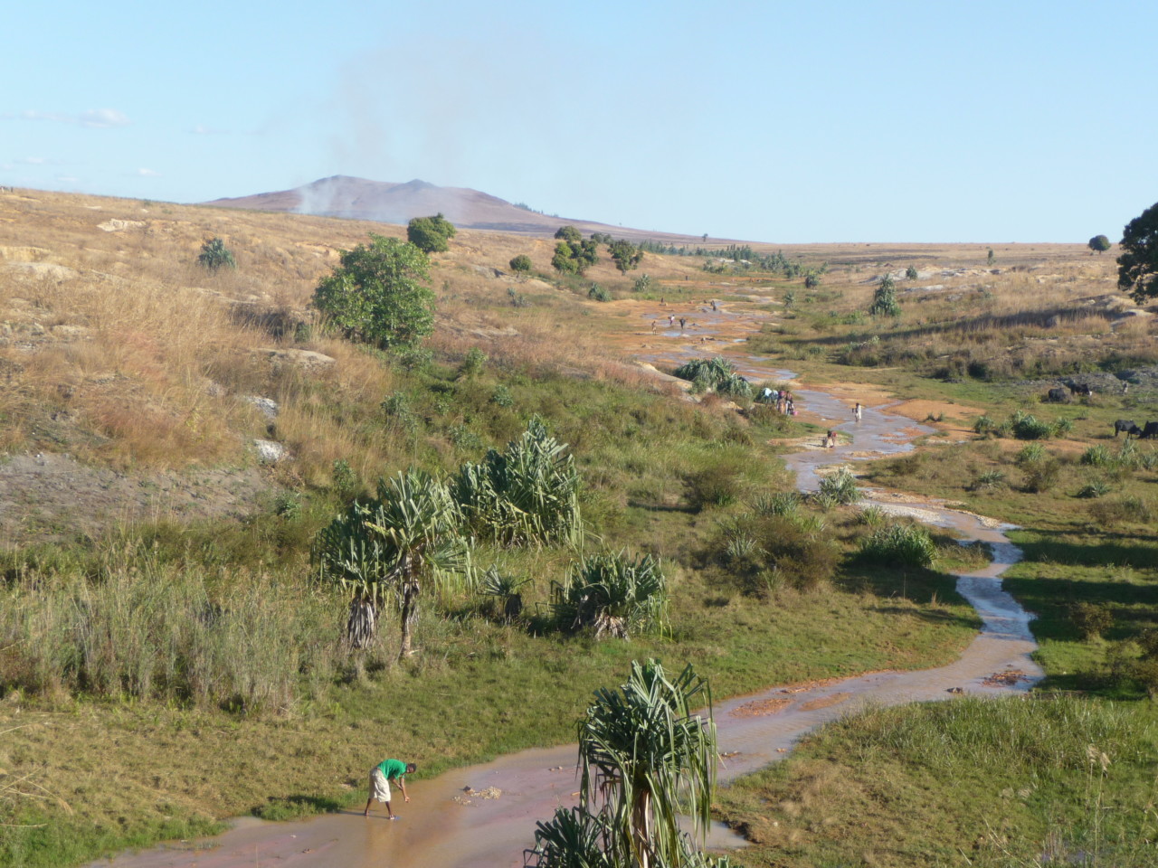 Madagascar vakantie | Rondreis Madagascar in drie weken