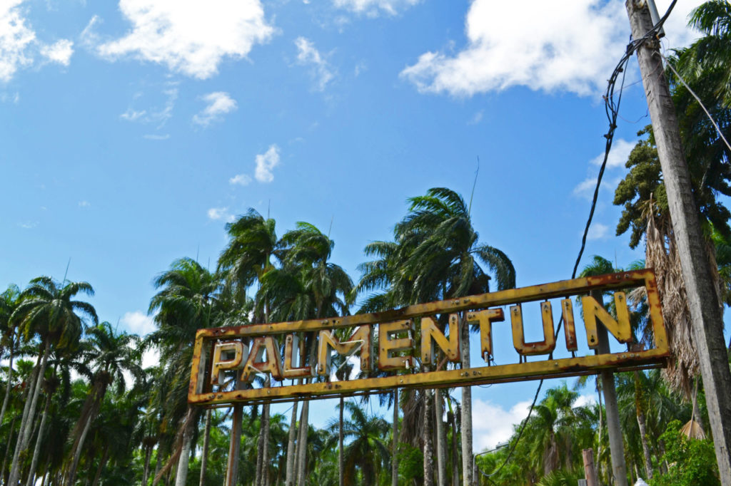 Paramaribo, Suriname | 5x Wat te doen in Paramaribo