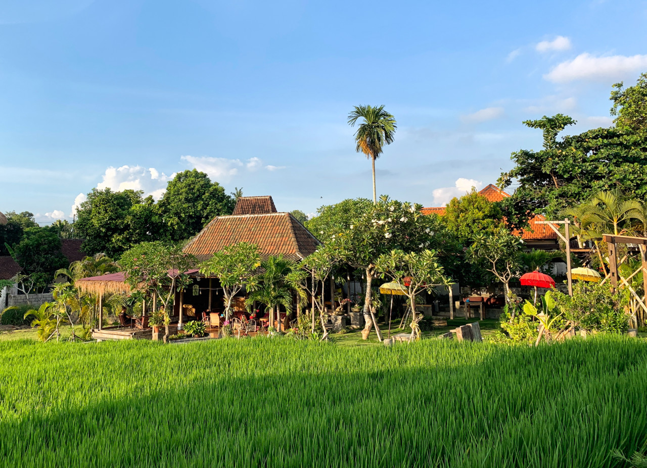 30x doen op Bali: de leukste activiteiten en dingen om te zien