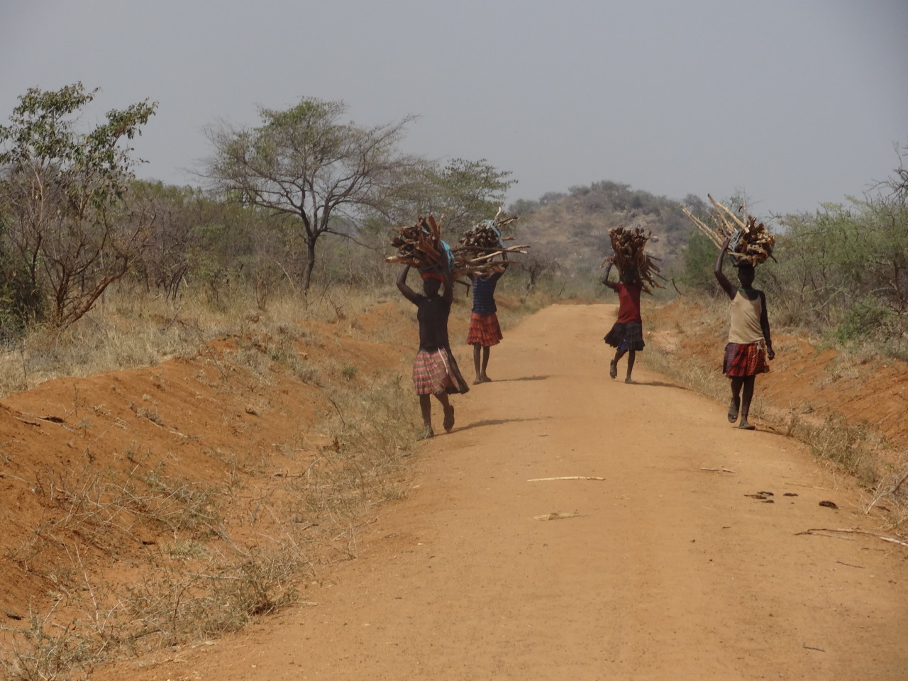 Reisadvies Oeganda | Alles wat je moet weten reizen naar Oeganda