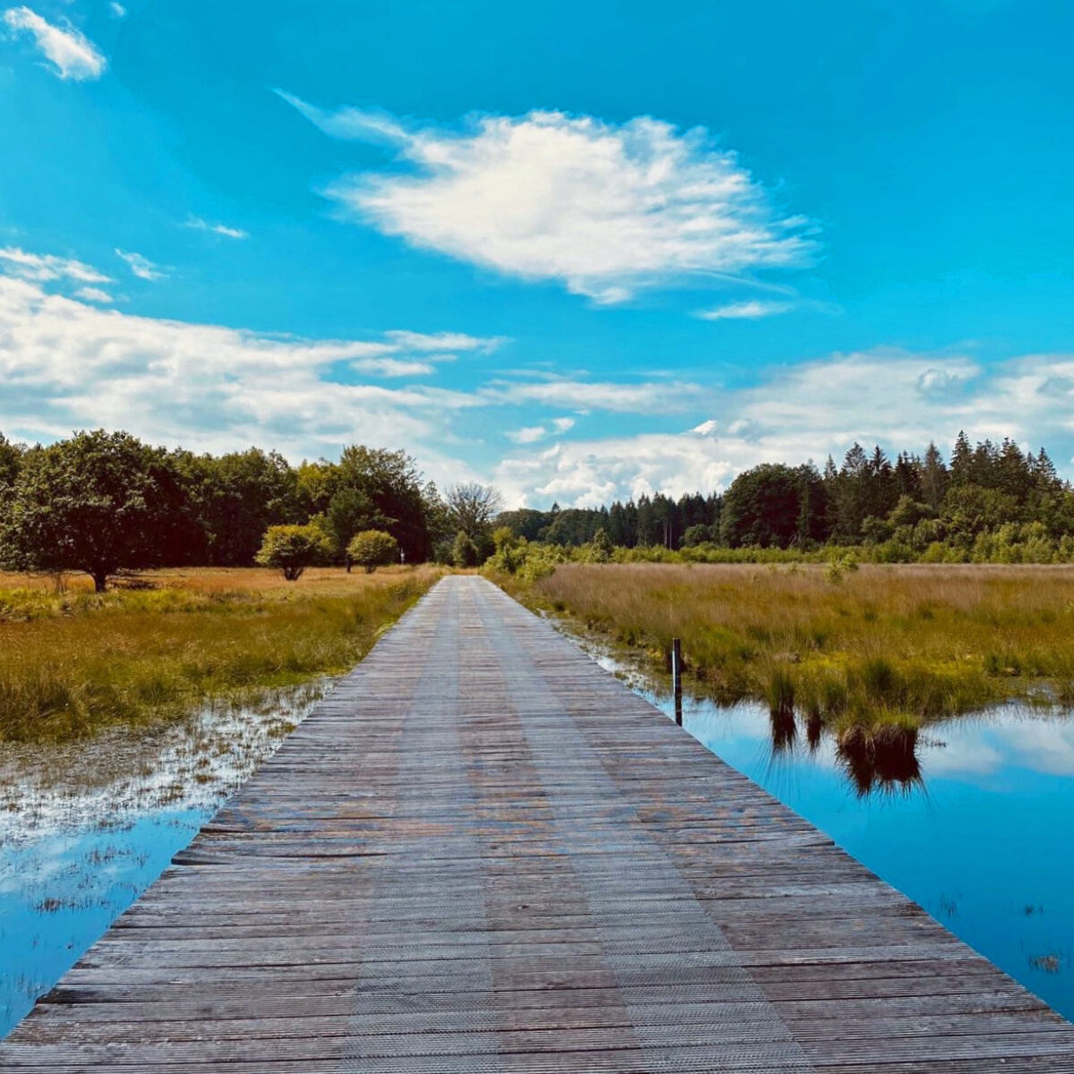 Pieterpad lopen | Tips voor route, etappes en overnachtingen!