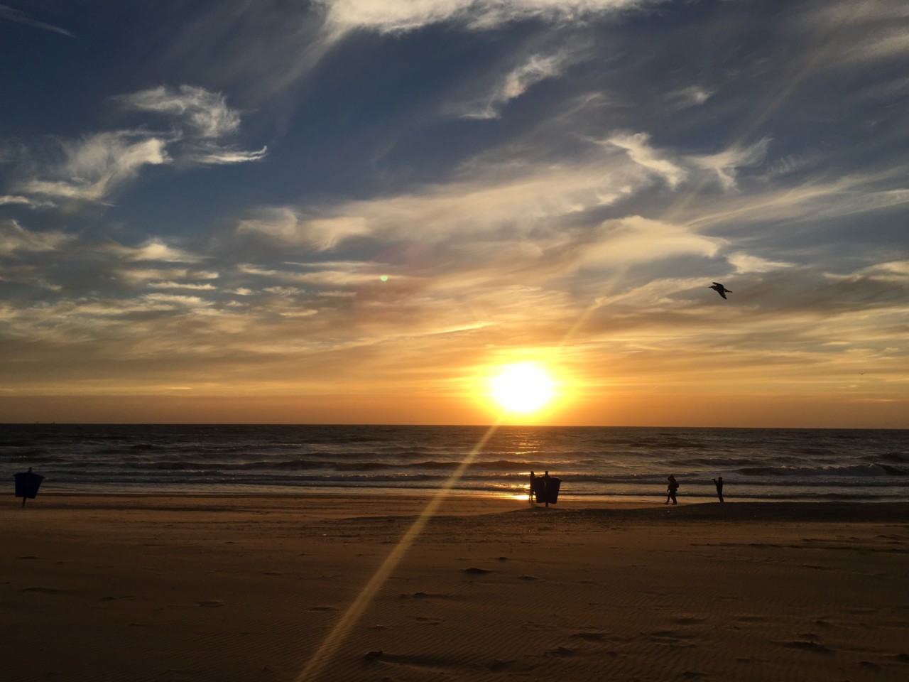 Stranden Nederland | De beste tips voor de Nederlandse kust!