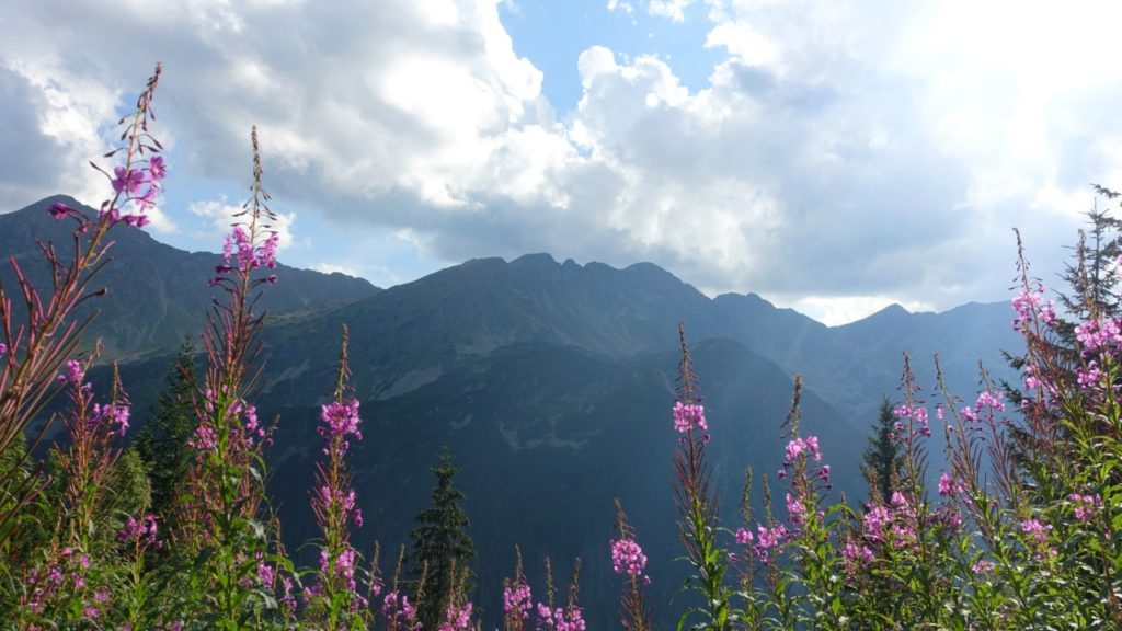 Vakantie Tatra gebergte Slowakije | wandelen in het Hoge Tatra gebergte