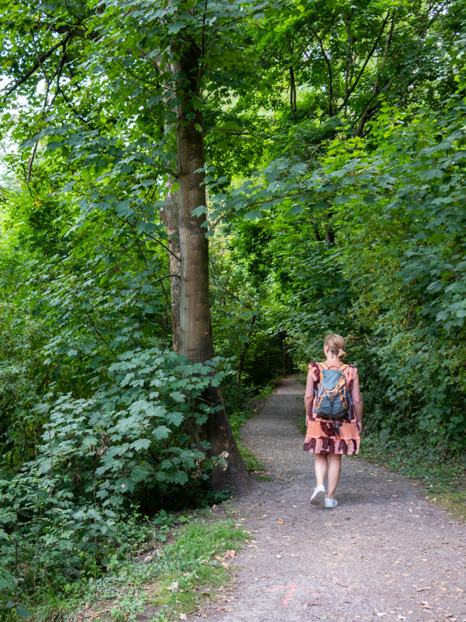 10 Bezienswaardigheden in het centrum van de stad Luik, België