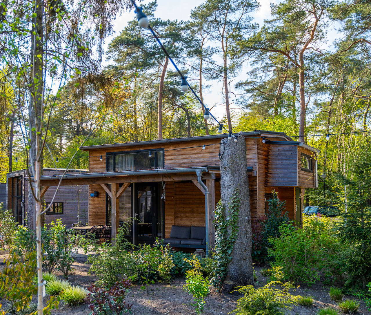 Huisje in het bos: 15 mooie vakantiehuisjes in de natuur