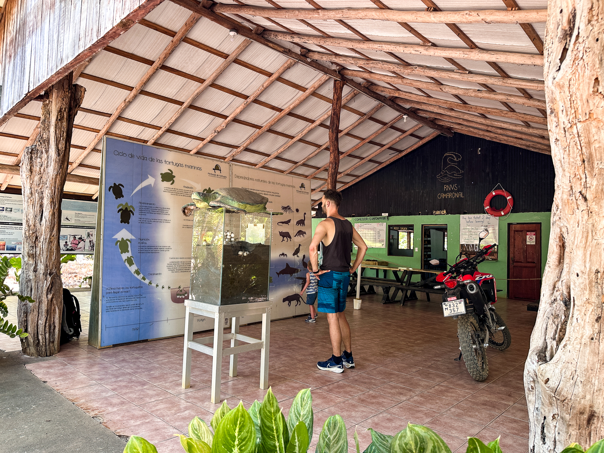 Sámara, Costa Rica: 10 must do's & tips voor Samara beach