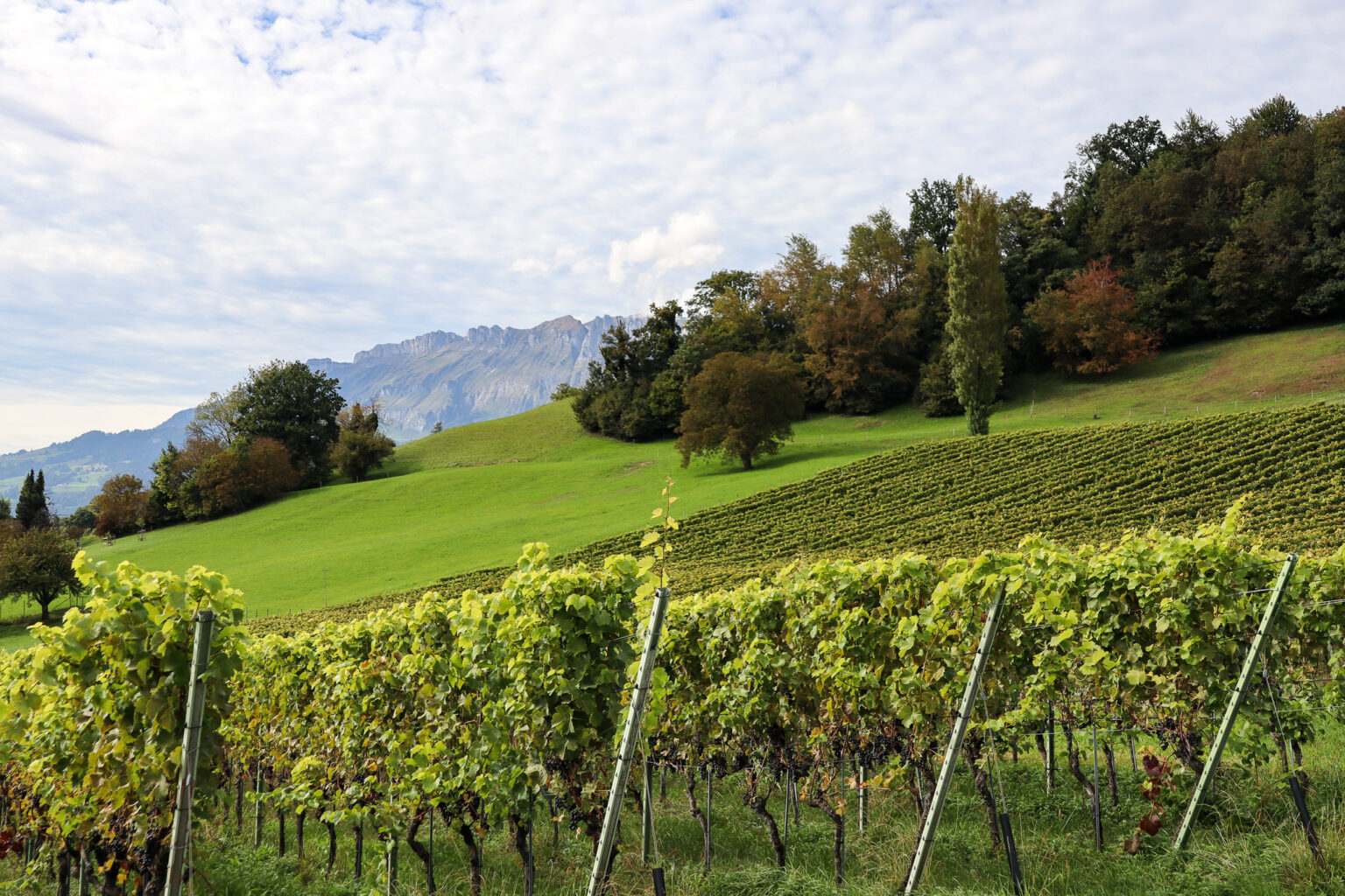 Wandelen op de Liechtenstein Trail: onze ervaring en tips