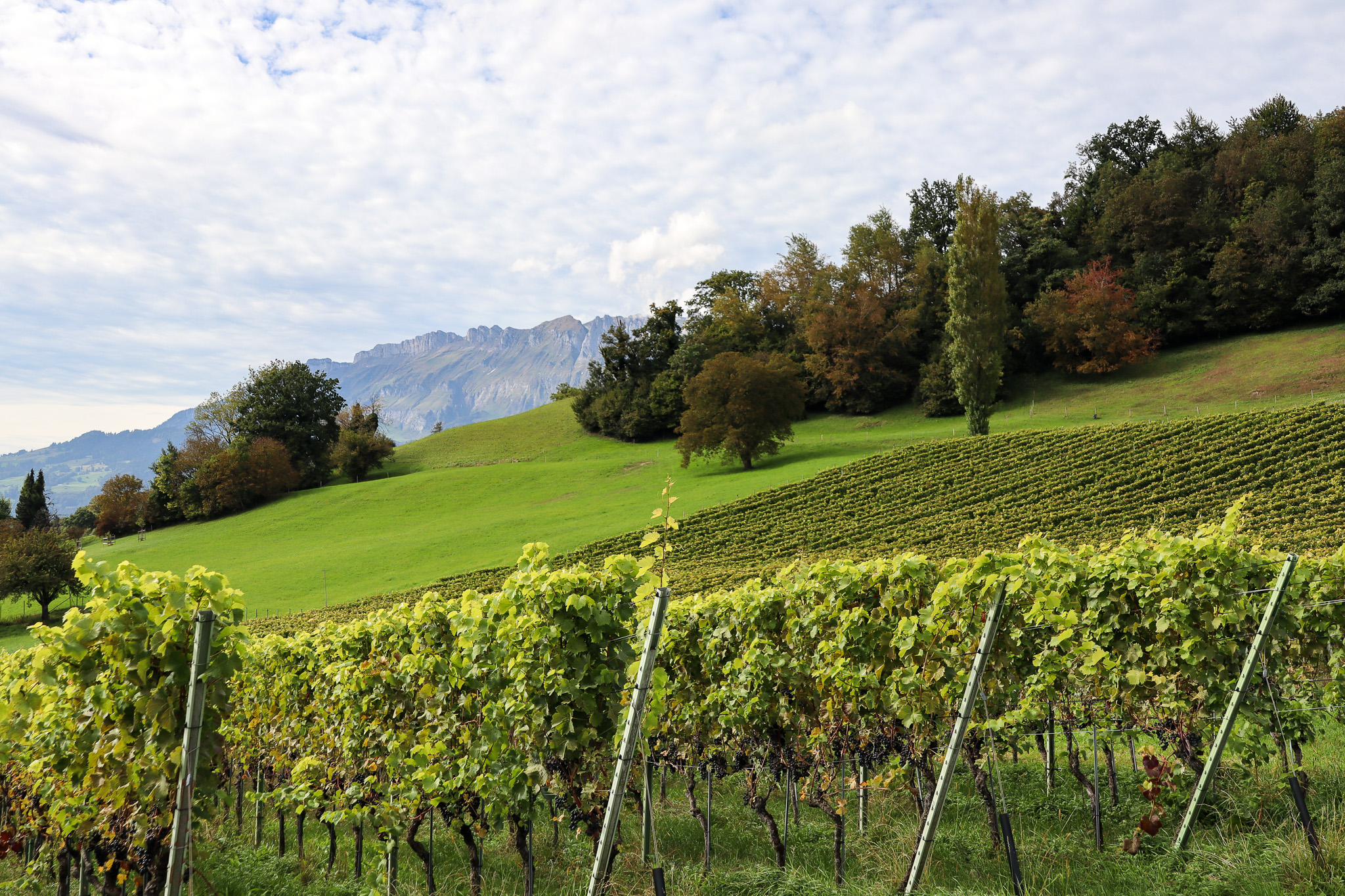 Wandelen op de Liechtenstein Trail: onze ervaring en tips